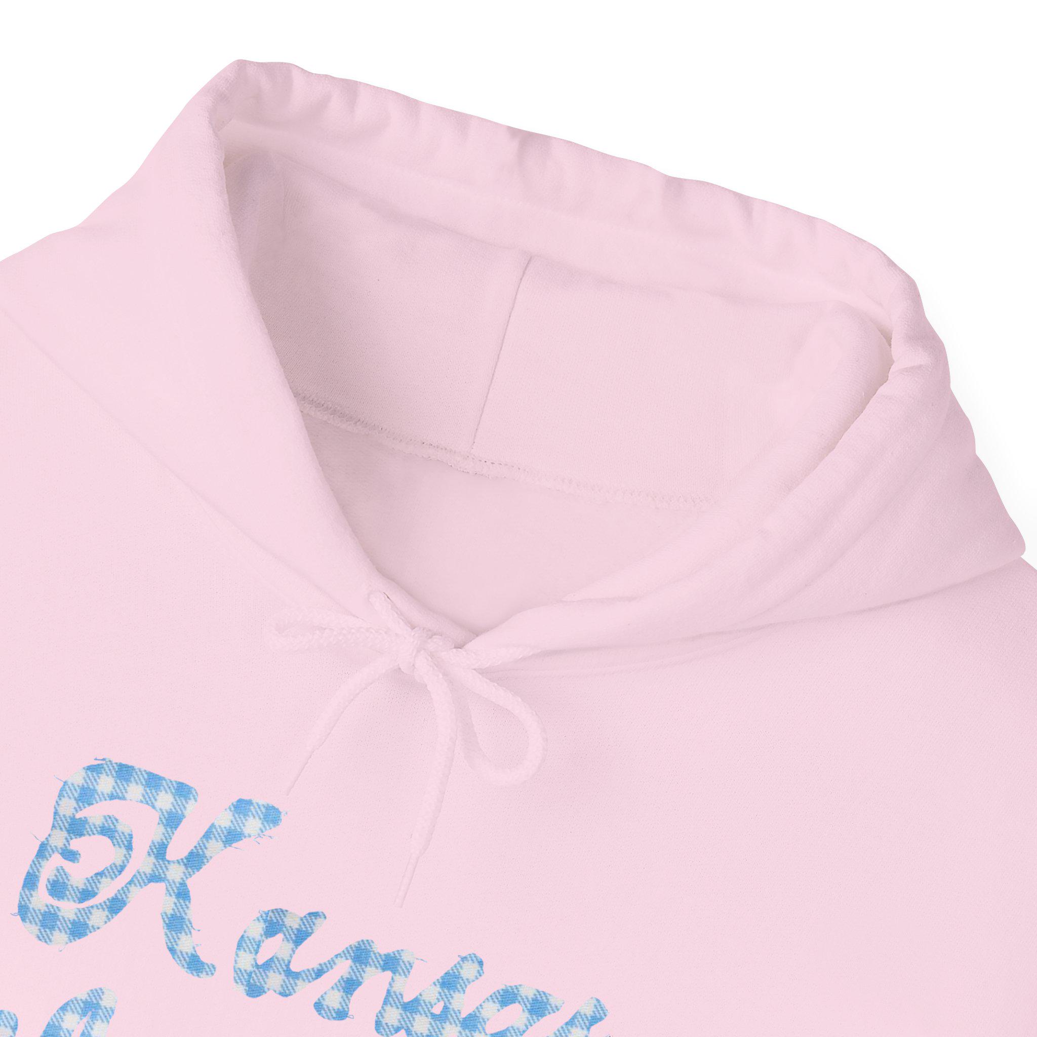 Role Model Kansas Anymore Hoodie Funny Gingham Role Model Hoodie 90s ...