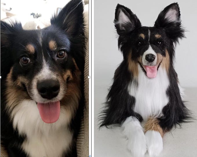 Custom Stuffed Animals Your Dogs, Photo to Custom Stuffed Animal, Plush ...