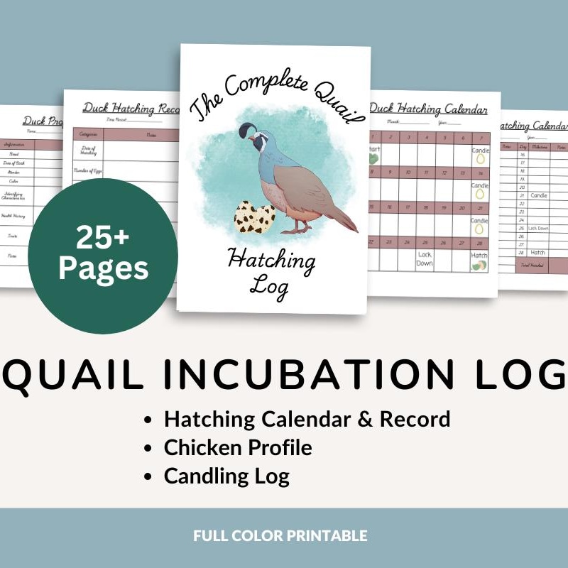Quail Books - Etsy