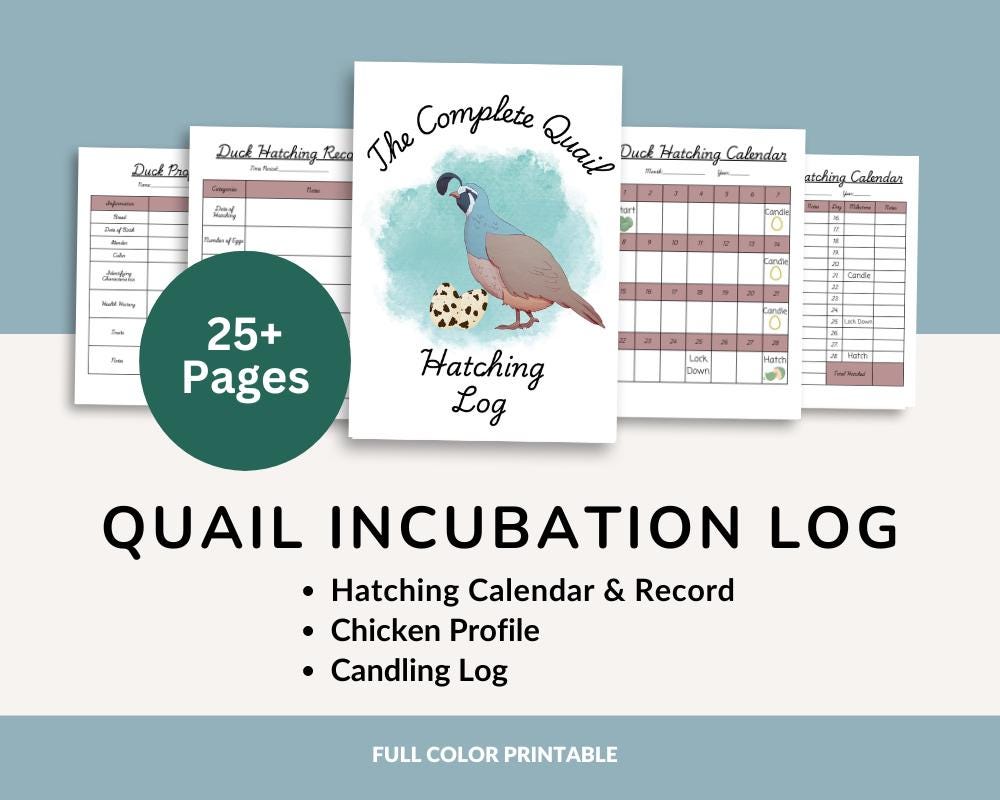 Quail Hatching and Incubation Log | Incubation Calendar | Homestead ...