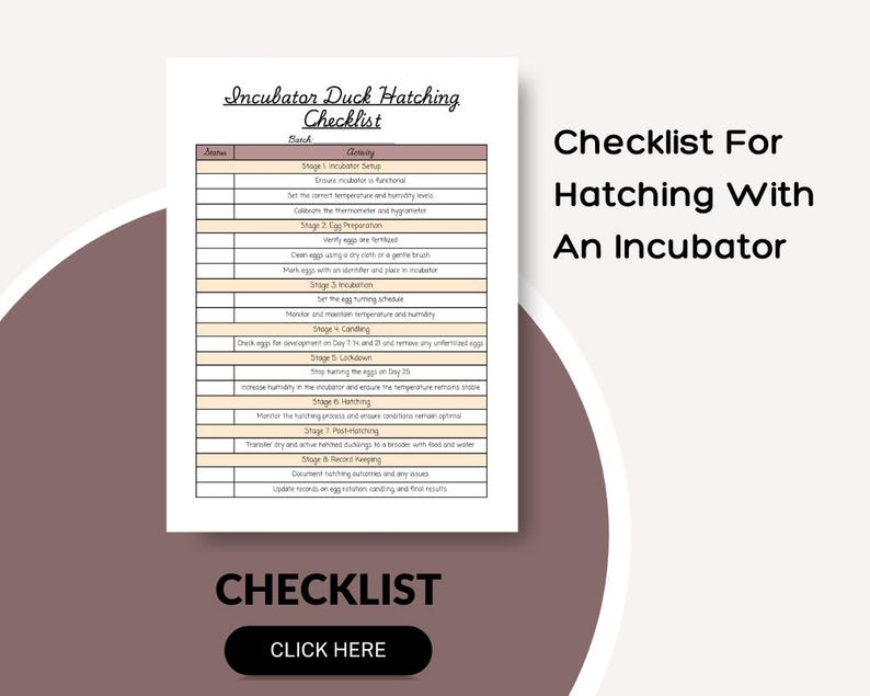 Duck Hatching and Incubation Log | Incubation Calendar | Homestead ...
