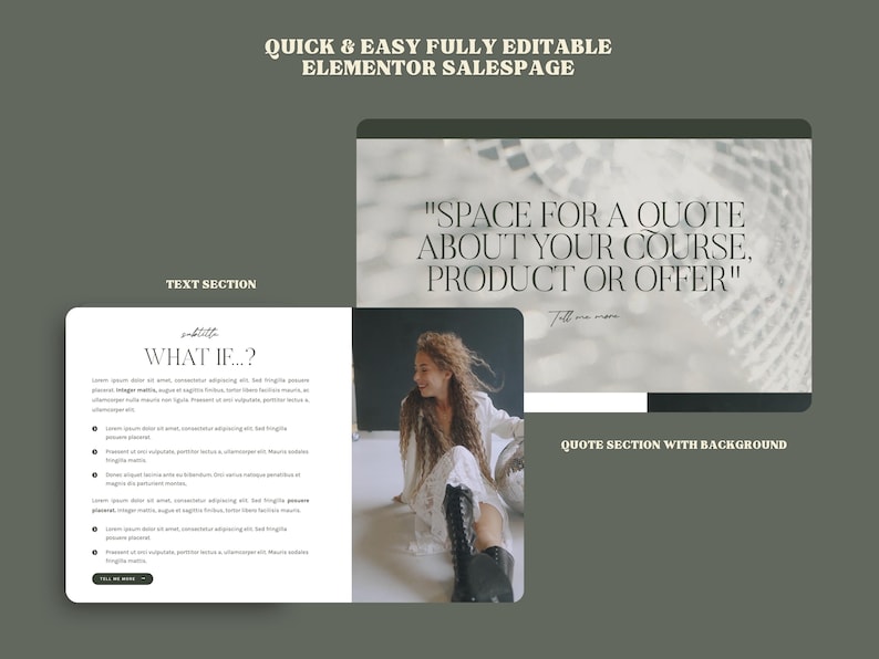 Wordpress Elementor Pro Landingspage Salespage 'elegant' - Premium WP ...