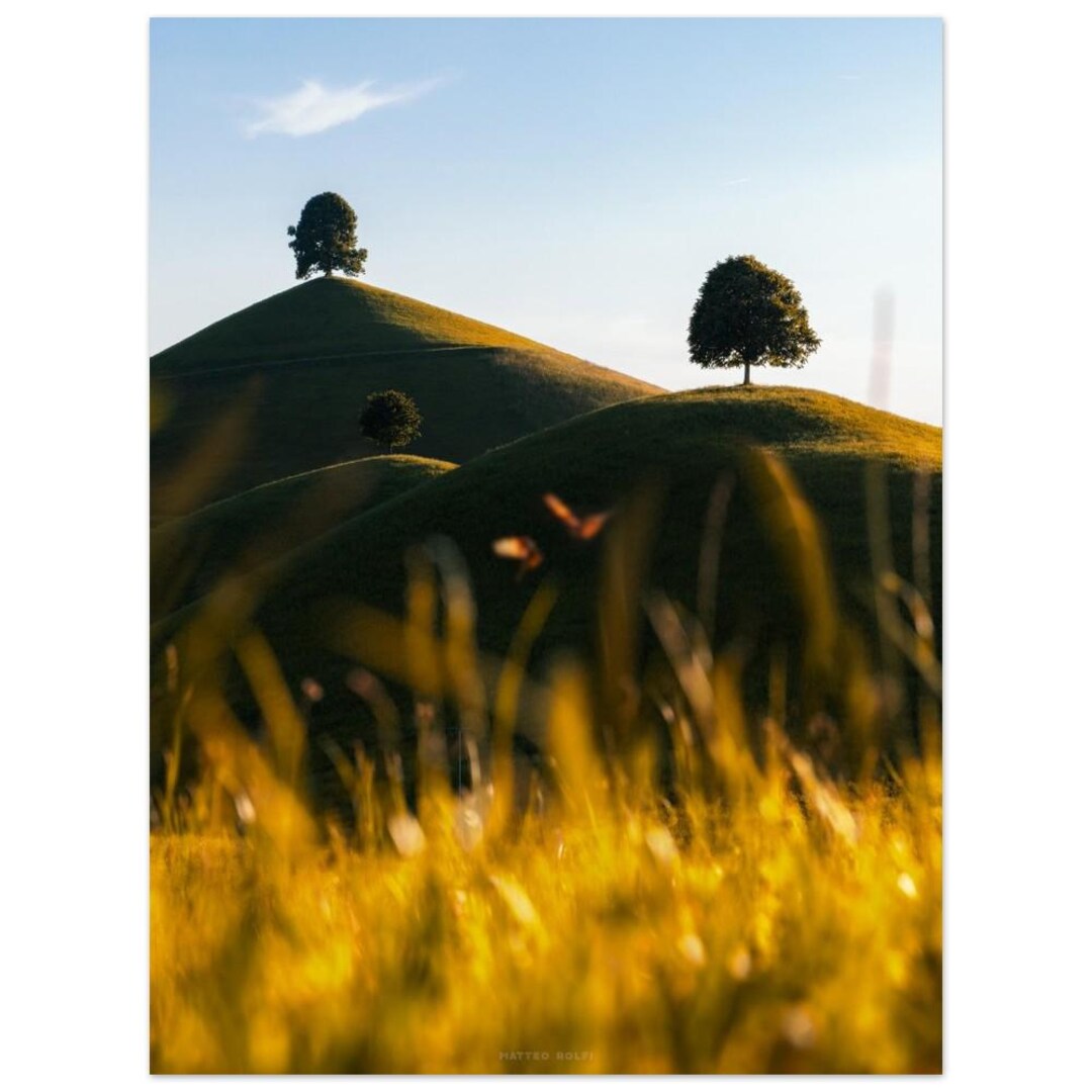 Swiss Hills at Sunset Print, Switzerland Poster, Home Decor, Landscape ...