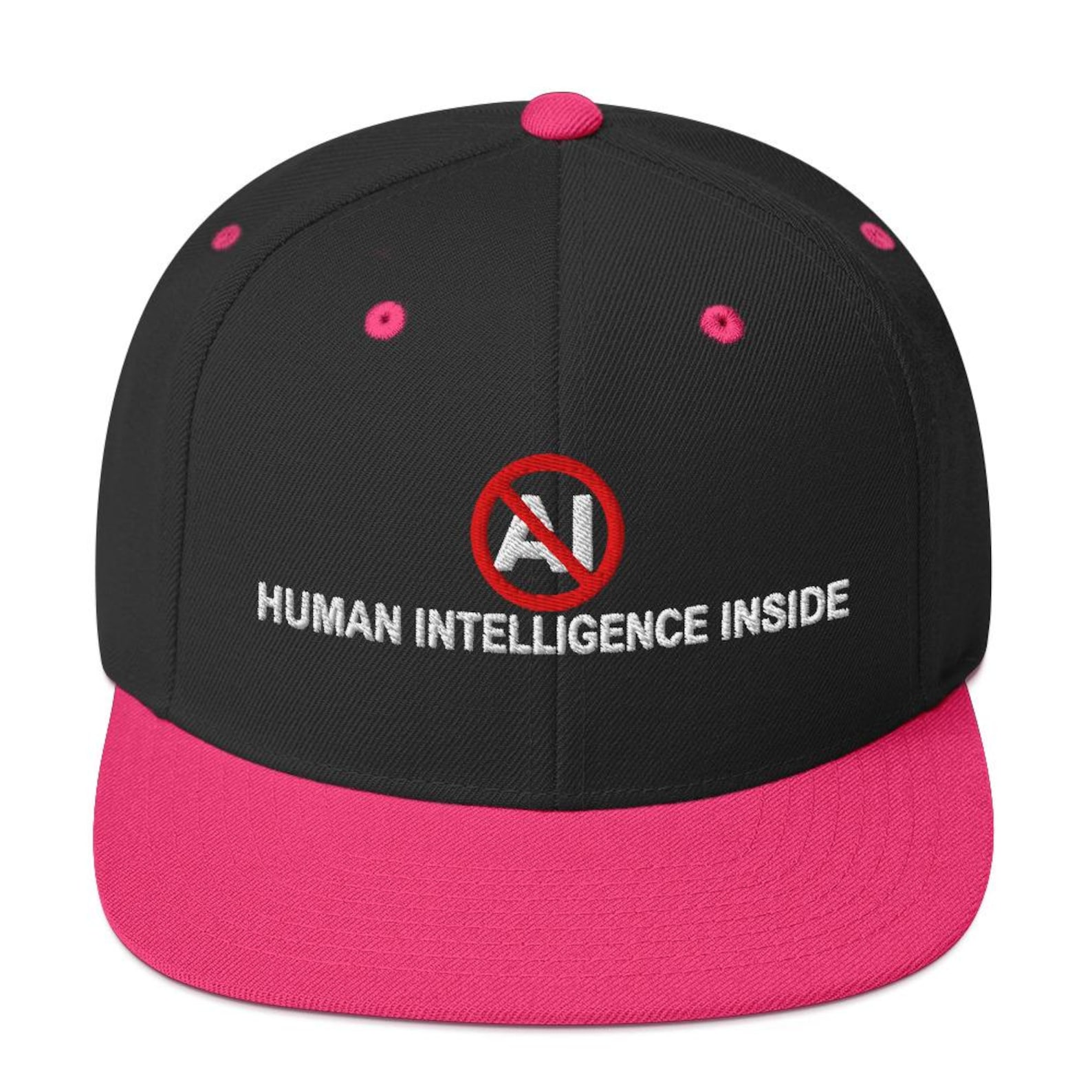 Tech Snapback Hat: Human Intelligence Inside, Cool Cap for Tech Lovers ...