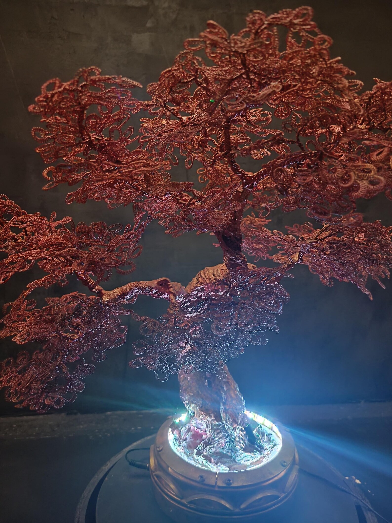 LED Illuminated Copper and Brass Bonsai Sycamore Tree - Etsy