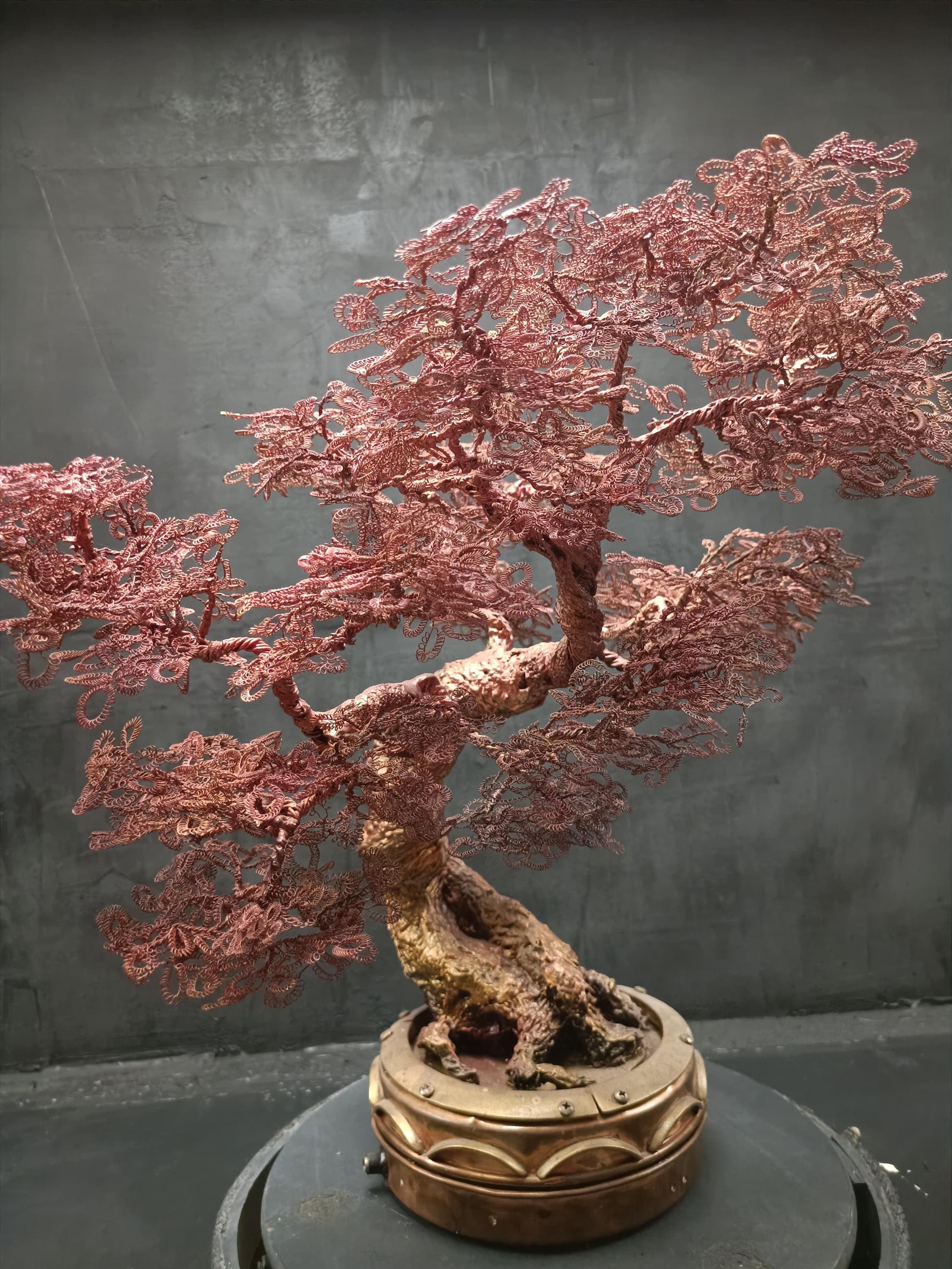 LED Illuminated Copper and Brass Bonsai Sycamore Tree - Etsy