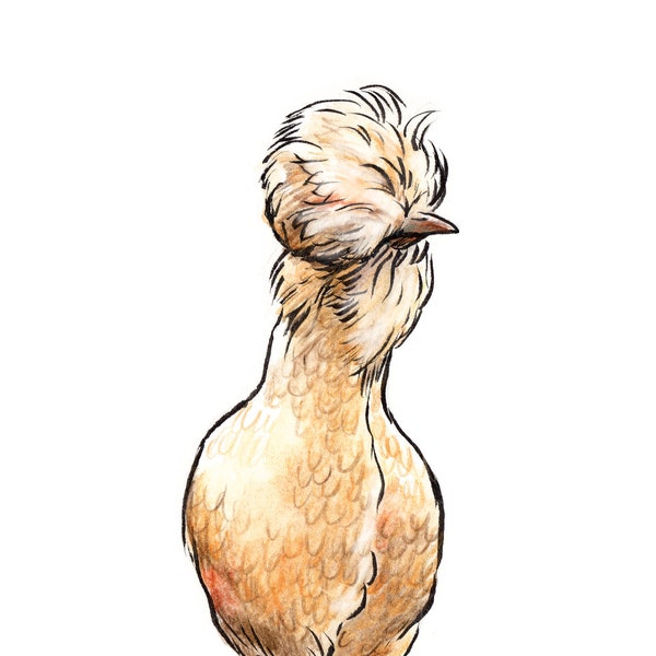 Polish Chicken - Etsy