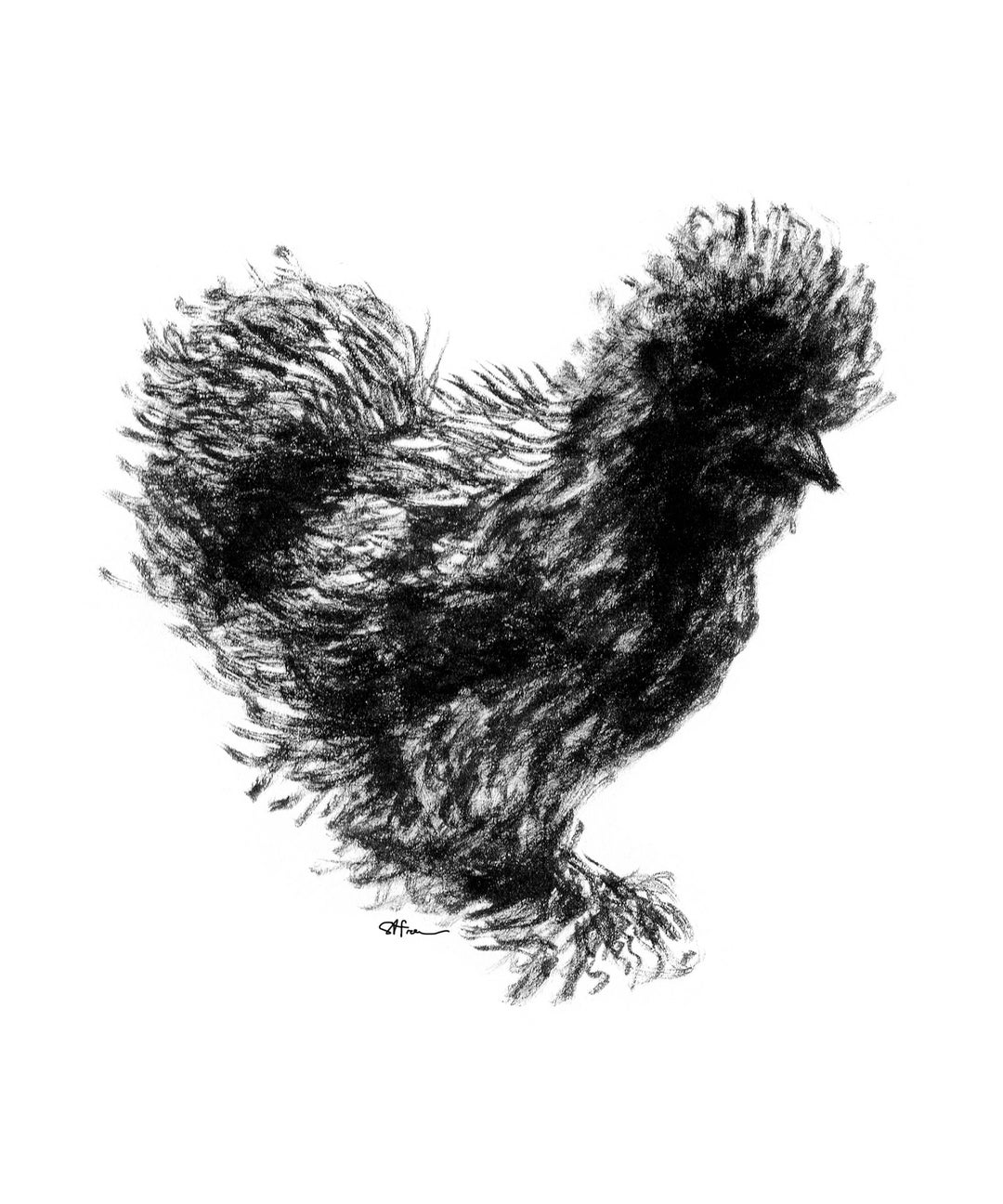 Silkie Chicken Art, Brush Pen Sketch - Etsy