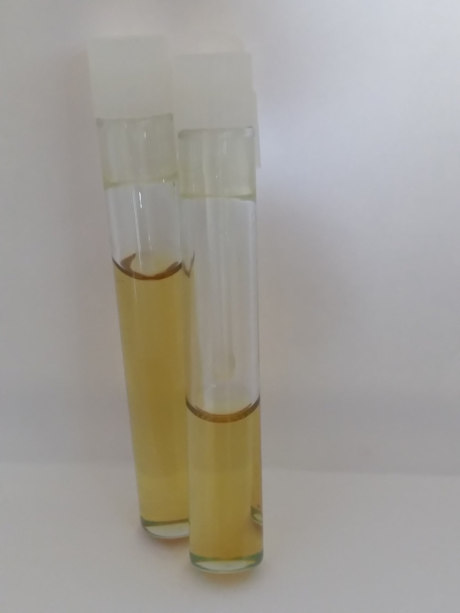 White Lotus Absolute, 100% Pure, Undiluted, Solvent Extracted White ...