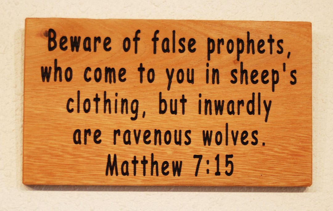 Beware of False Prophets, Who Come to You in Sheep's Clothing, but ...