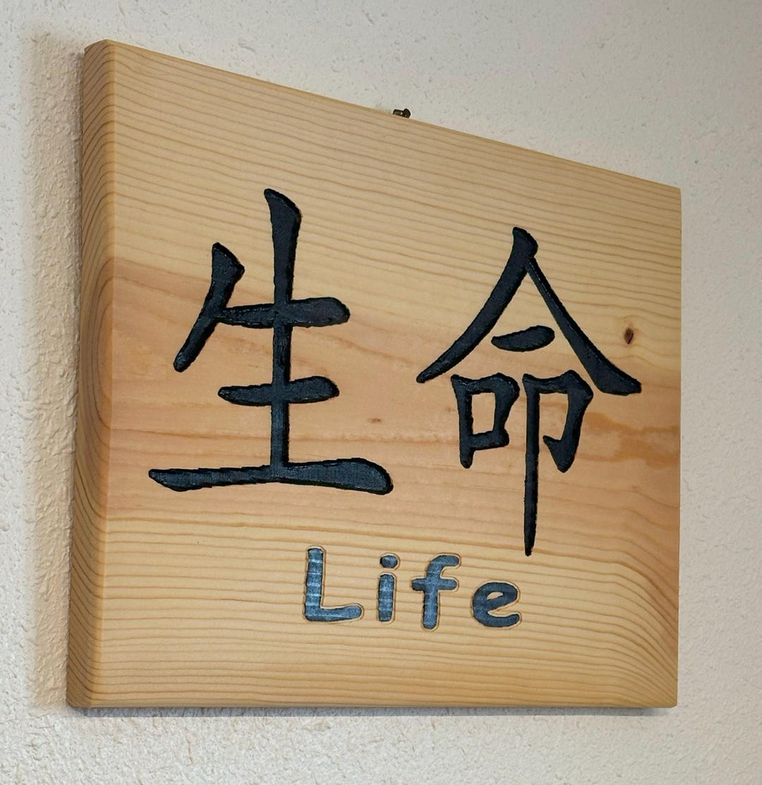 Life and the Chinese Symbol for Life - Hand Painted Wooden Plaque ...