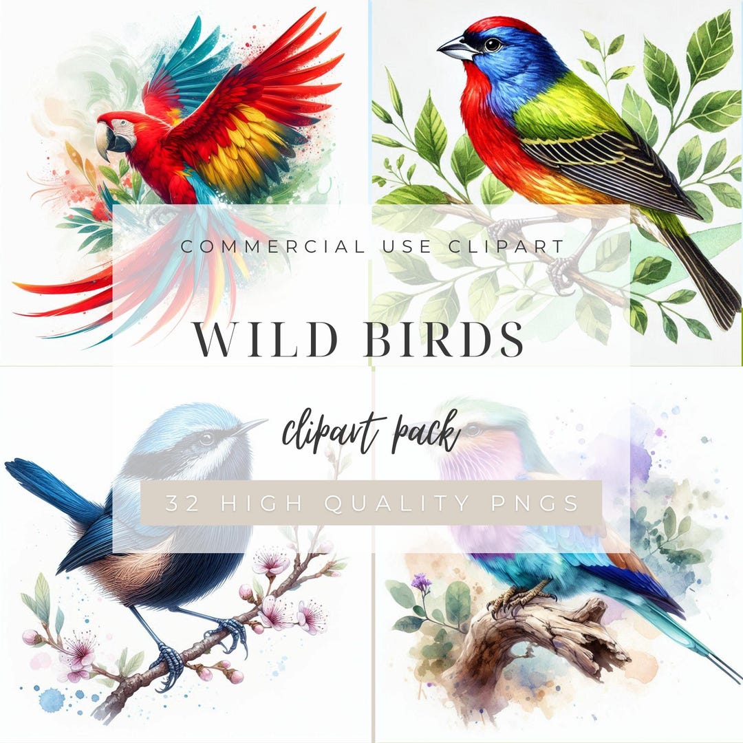 33 Wild Birds, Watercolor, Clipart, PNG, High Quality, Commercial Use ...