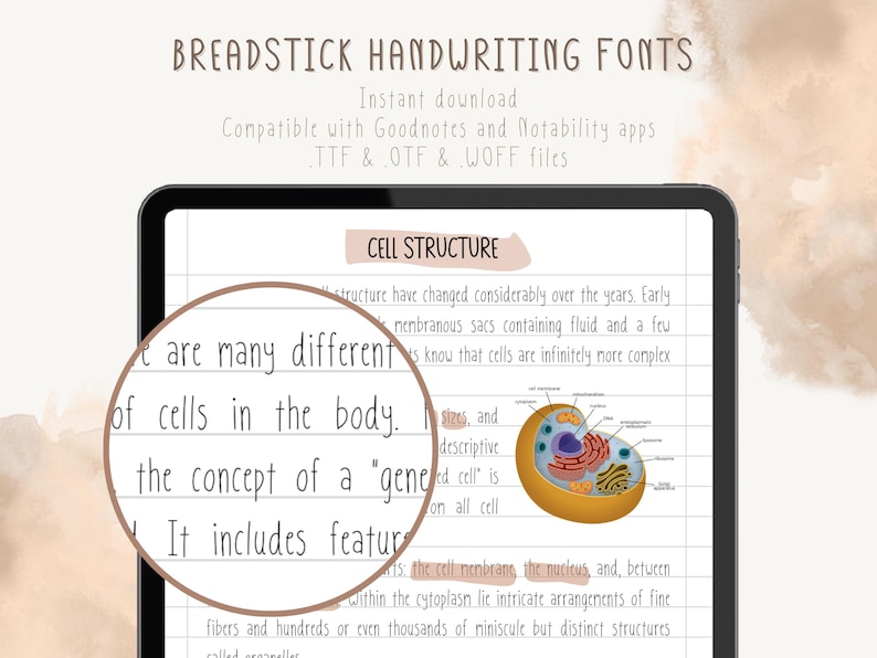 Breadstick Font-neat Font, Goodnotes Font, Handwritten Font, Tall Font ...
