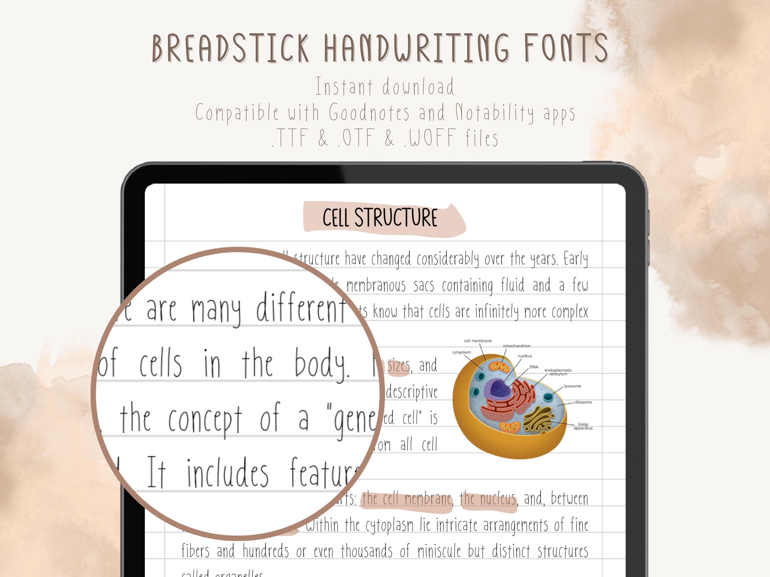 Breadstick Font-neat Font, Goodnotes Font, Handwritten Font, Tall Font ...