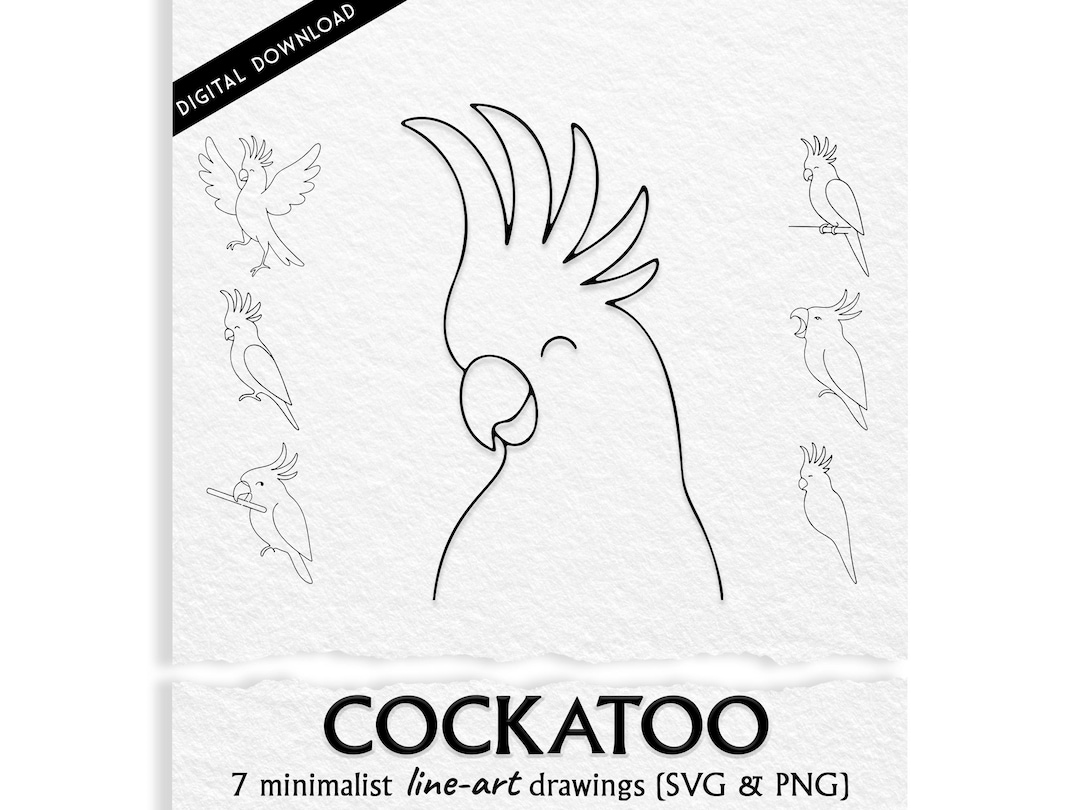 Cockatoo Bird SVG & PNG Bundle – 7 Minimalist Cockatoo Hand-drawn Line ...