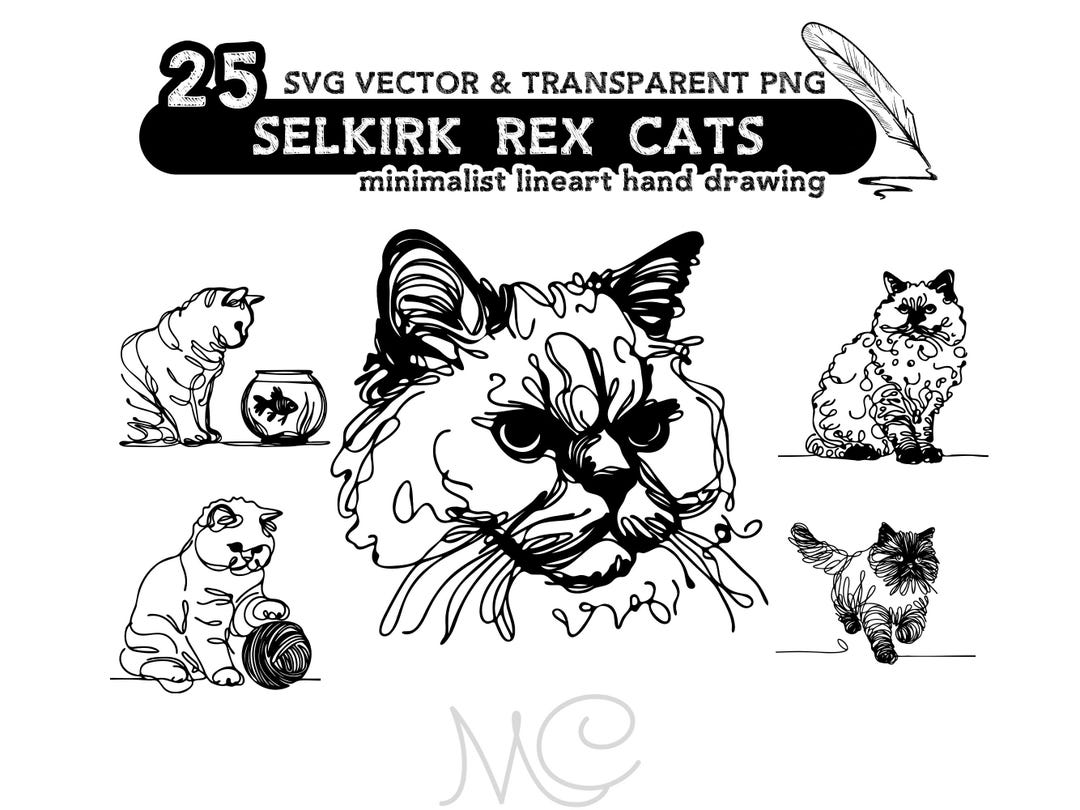25 Selkirk Rex Cats SVG & PNG Bundle Minimalist Lineart Drawing , Cats ...