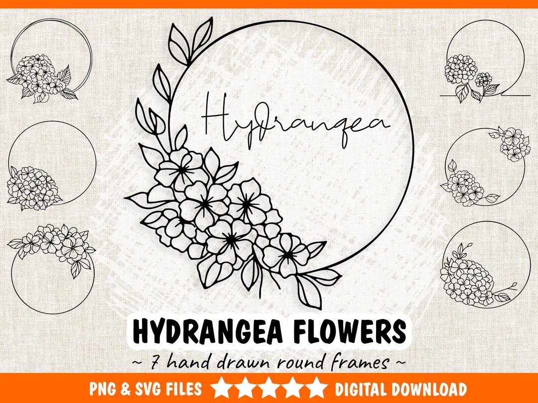 Hand-drawn Hydrangea Flowers Round Frames SVG & PNG Bundle | 7 ...