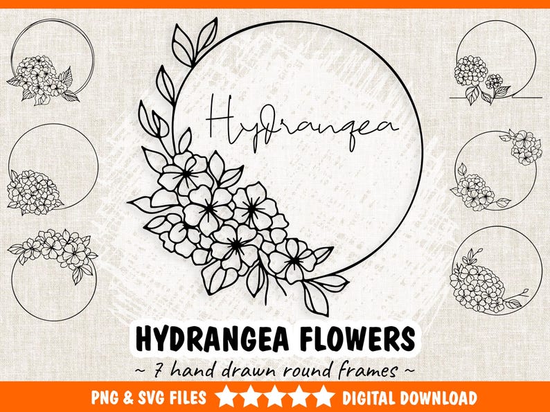 Molduras redondas de flores de hortênsia desenhadas à mão em SVG e PNG ...