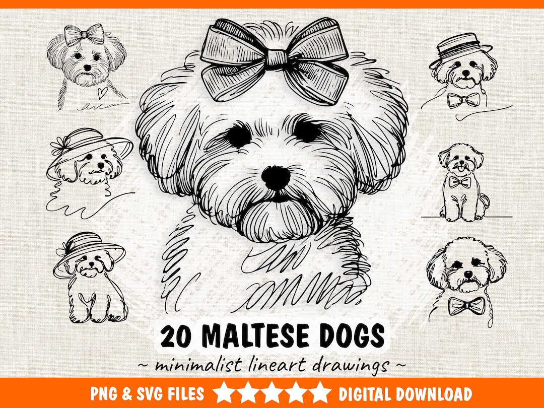 Maltese Dog Line Art Bundle: Ladies & Gents PNG SVG (commercial Use) - Etsy