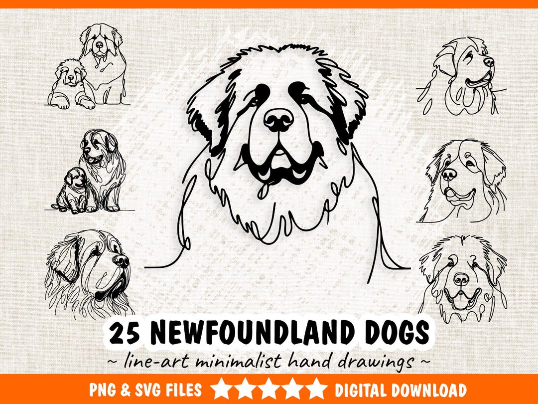 Newfoundland Dog Head SVG & PNG Bundle – 25 Hand Drawn Newfoundland Dog ...