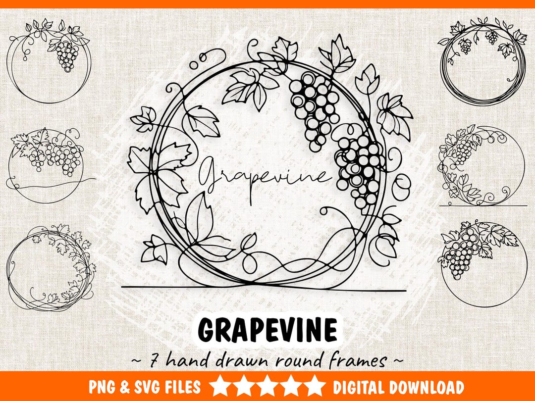 Hand-drawn Grapevines Round Frames SVG & PNG Bundle | 7 Grapevine ...