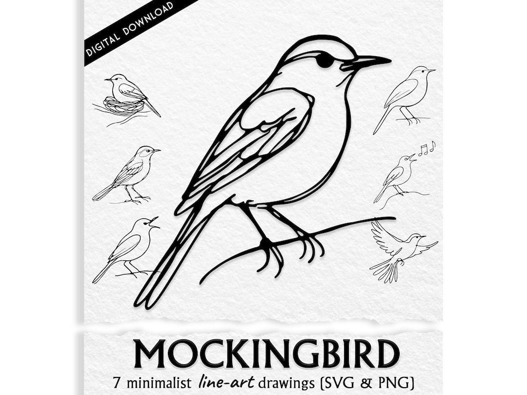 Mockingbird Bird SVG & PNG Bundle – 7 Minimalist Mockingbird Hand Drawn ...