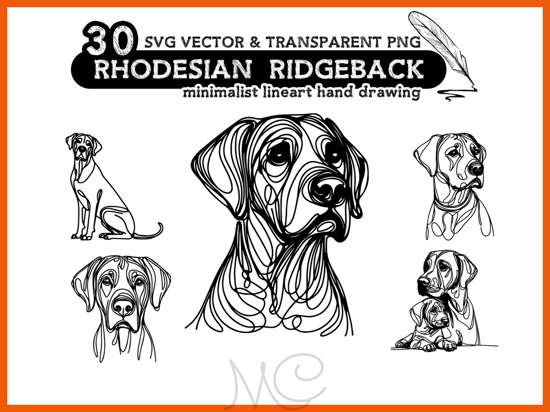 Rhodesian Ridgeback Portraits SVG & PNG Bundle - 30 Minimalist Lineart ...