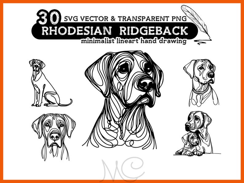 Rhodesian Ridgeback Portraits SVG & PNG Bundle - 30 Minimalist Lineart ...