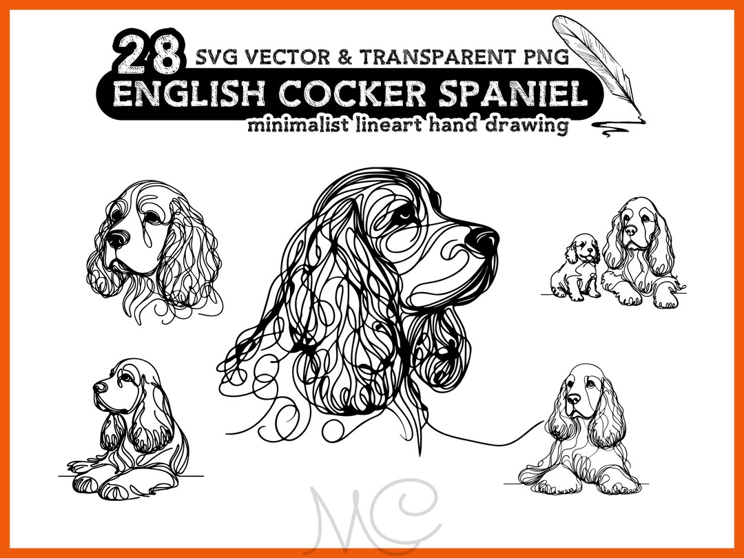 28 English Cocker Spaniel SVG & PNG Bundle - Minimalist Lineart Drawing ...