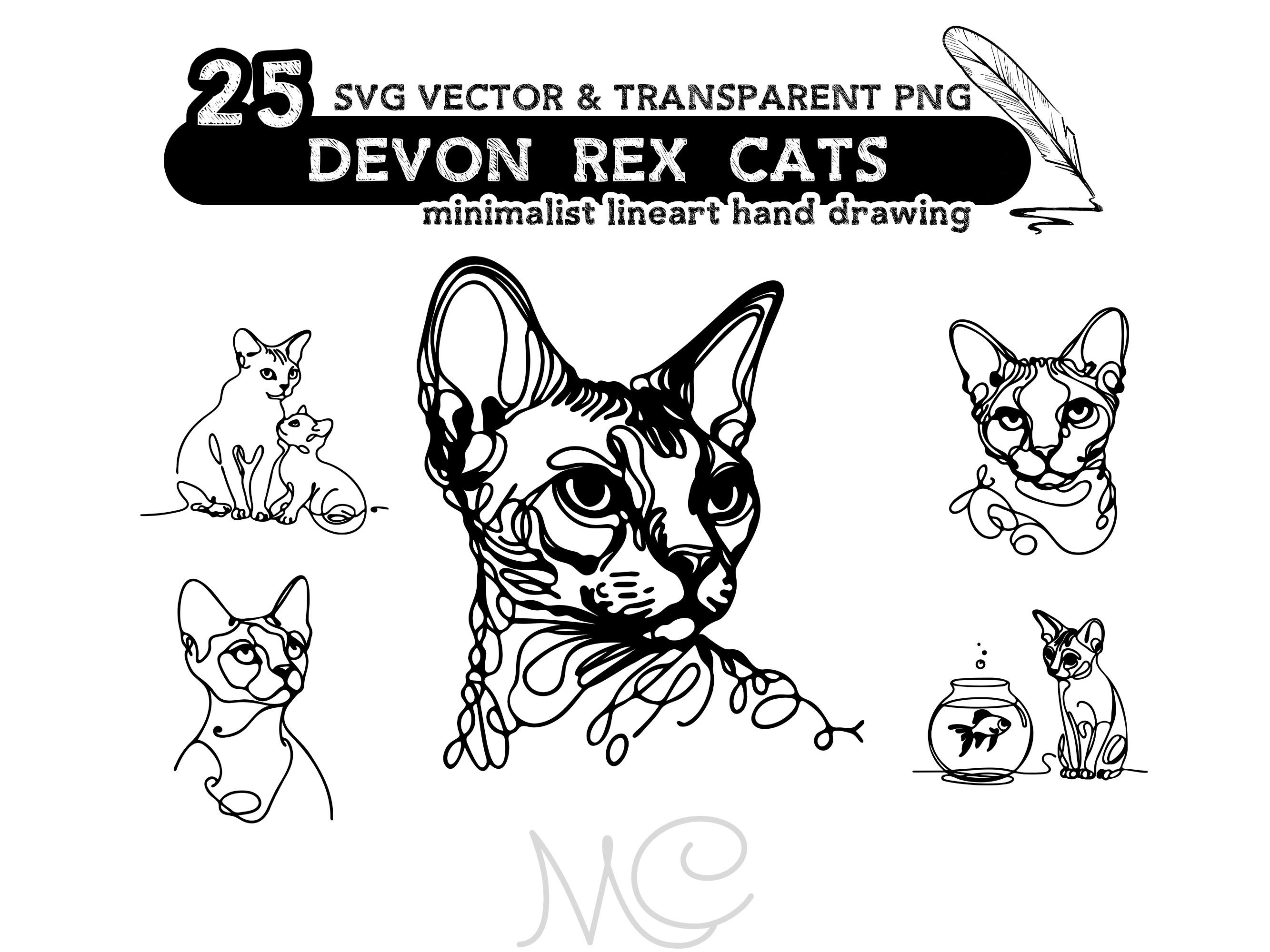 25 Devon Rex Cats SVG & PNG Bundle Minimalist Lineart Drawing , Cats ...