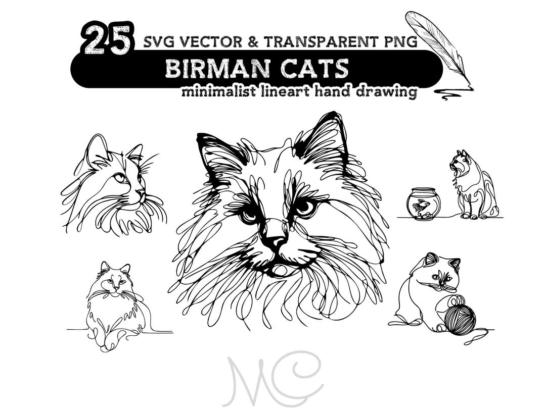 25 Birman Cats SVG & PNG Bundle Minimalist Lineart Drawing , Cats Png ...