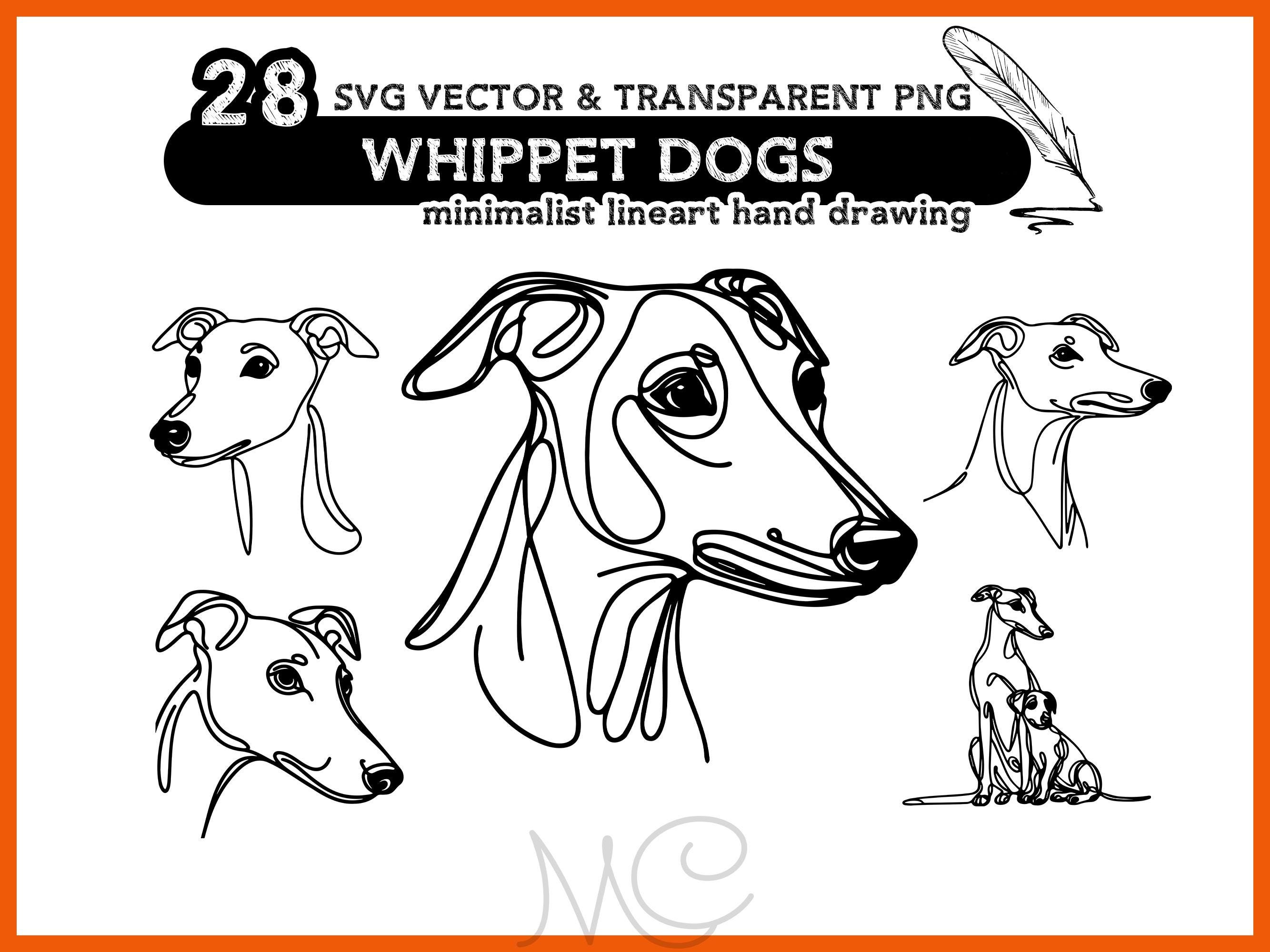 26 Whippet Dog Portraits SVG & PNG Bundle Minimalist Lineart Drawing ...