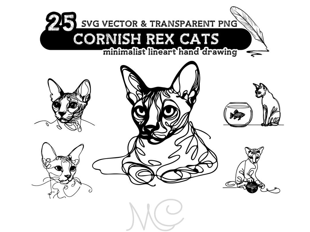25 Cornish Rex Cats SVG & PNG Bundle Minimalist Lineart Drawing , Cats ...