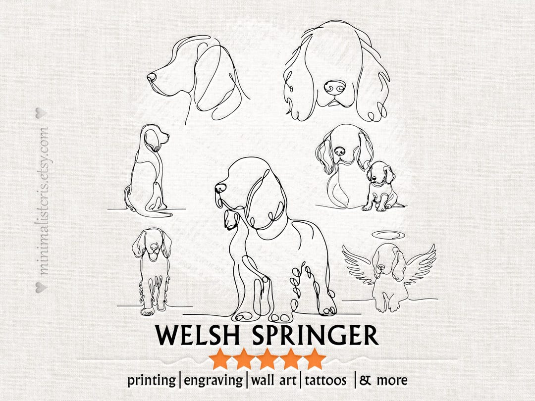 Welsh Springer SVG: Welsh Spaniel Dog PNG & SVG Art Drawings, Welsh ...