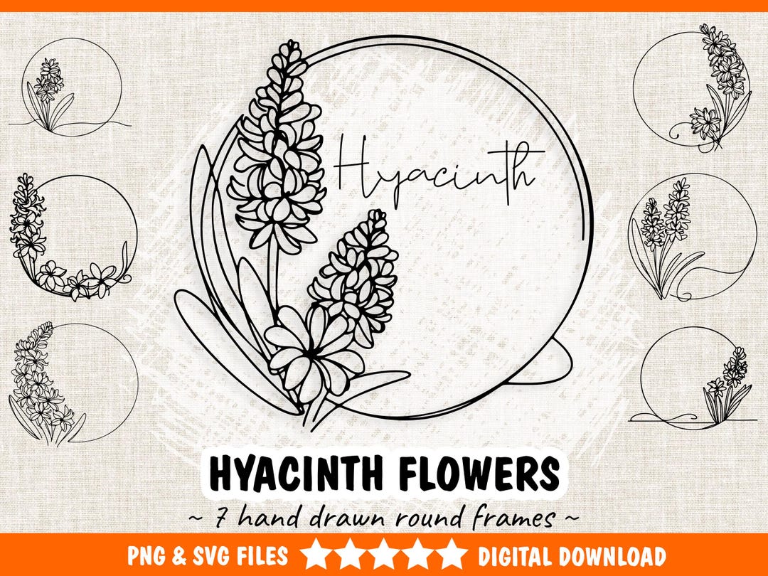 Hand-drawn Hyacinth Flowers Round Frames SVG & PNG Bundle | 7 Hyacinth ...