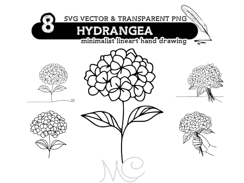 Hydrangea Flowers Line Art Bundle – Minimalist Flower Drawings ...