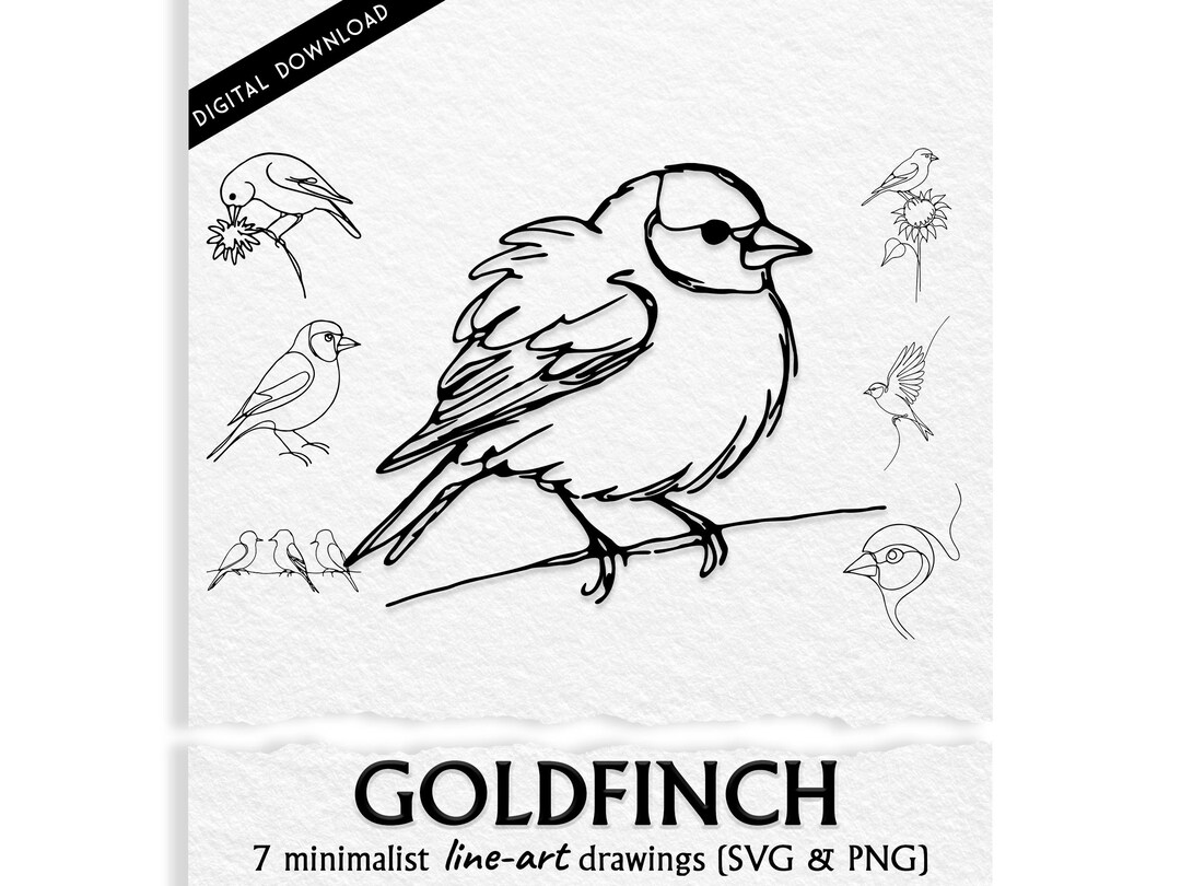 Goldfinch Bird SVG & PNG Bundle – 7 Minimalist Goldfinch Hand-drawn ...