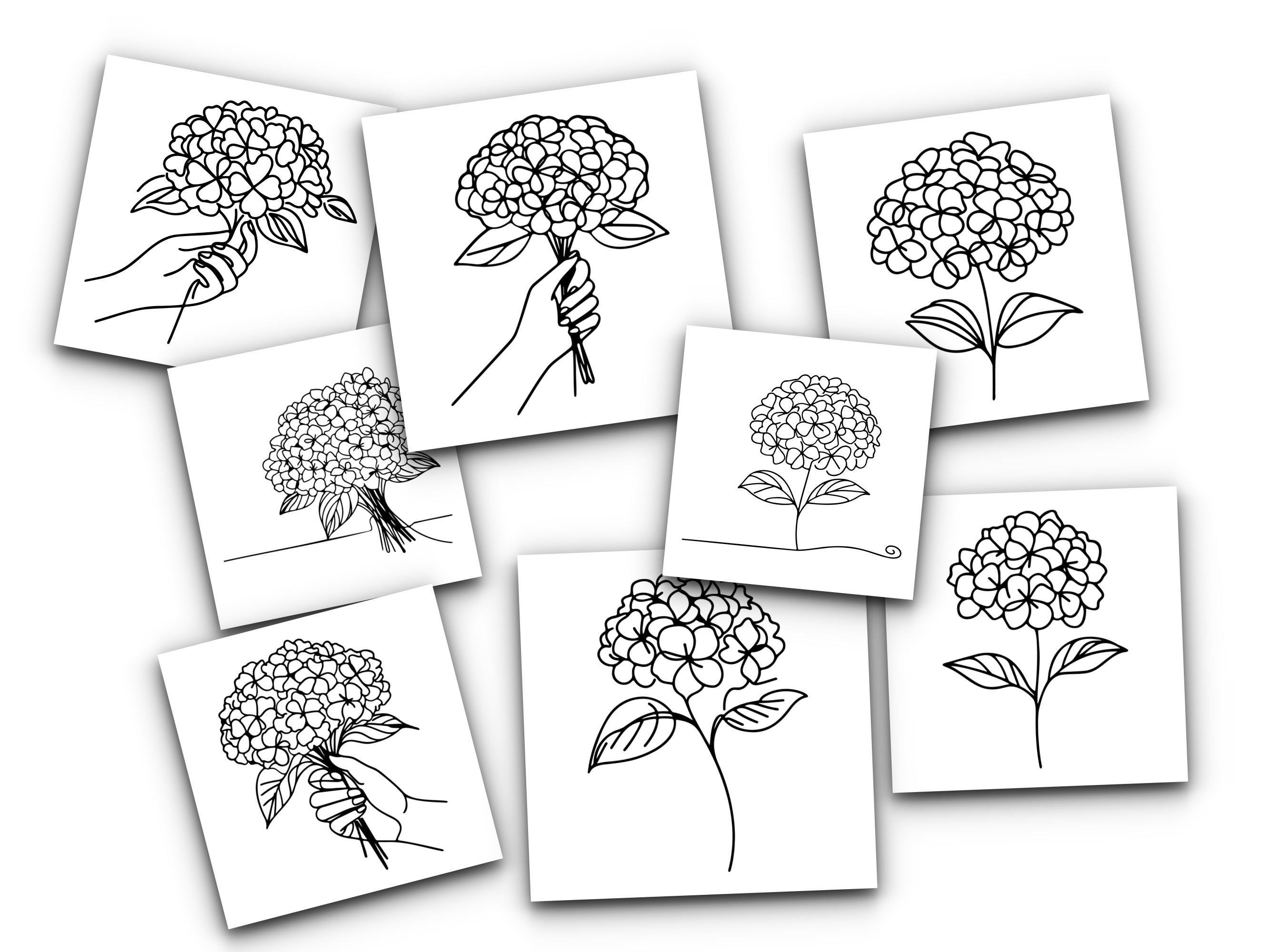 Hydrangea Flowers Line Art Bundle – Minimalist Flower Drawings ...