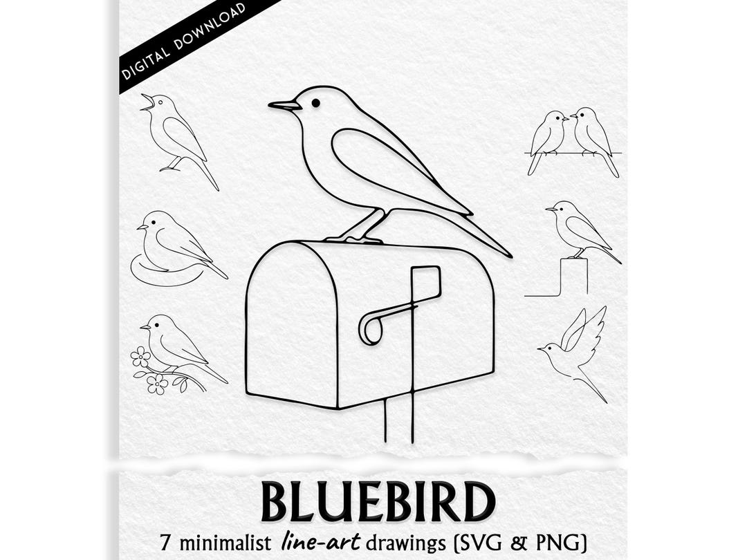 Bluebird SVG – Minimalist Bluebird Line Art Outline Drawings, Digital ...