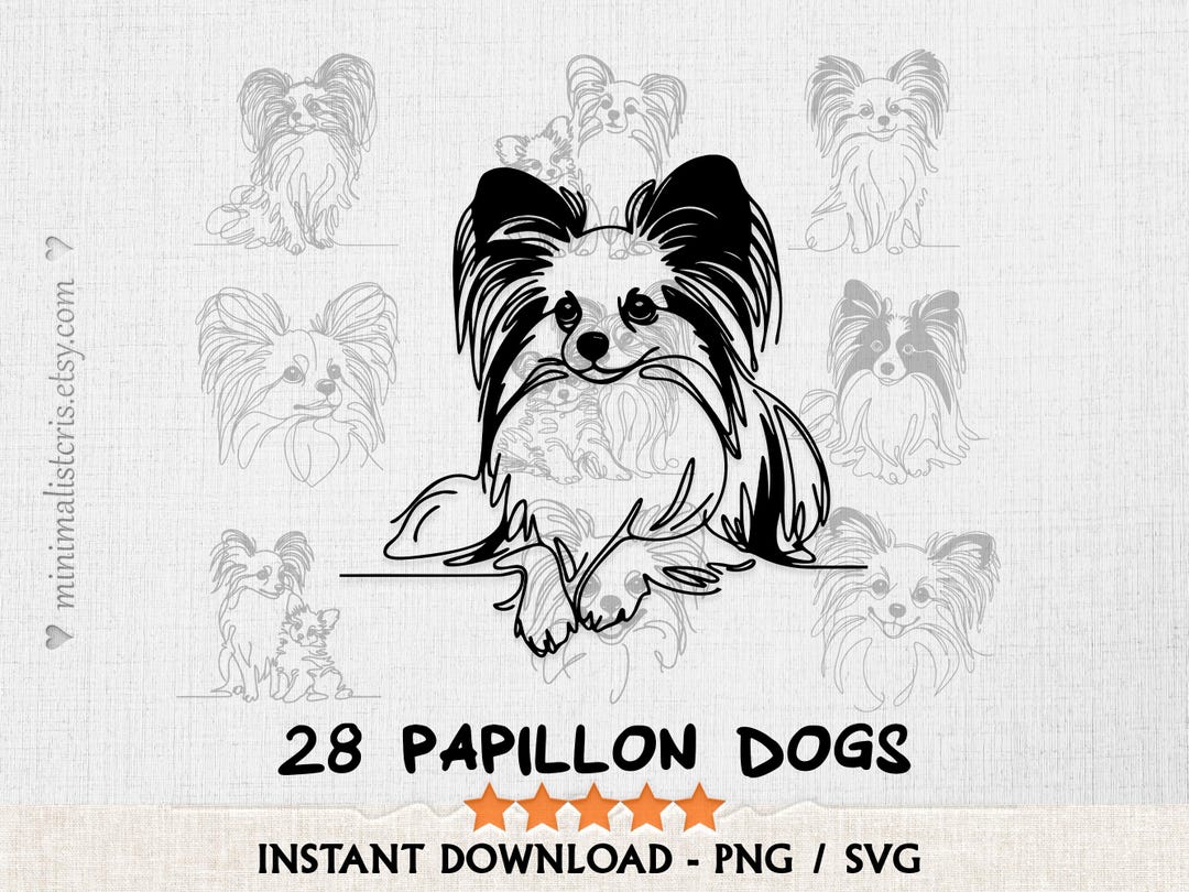 Papillon SVG & PNG Drawings - Papillon Hand Drawn Sketches Art ...
