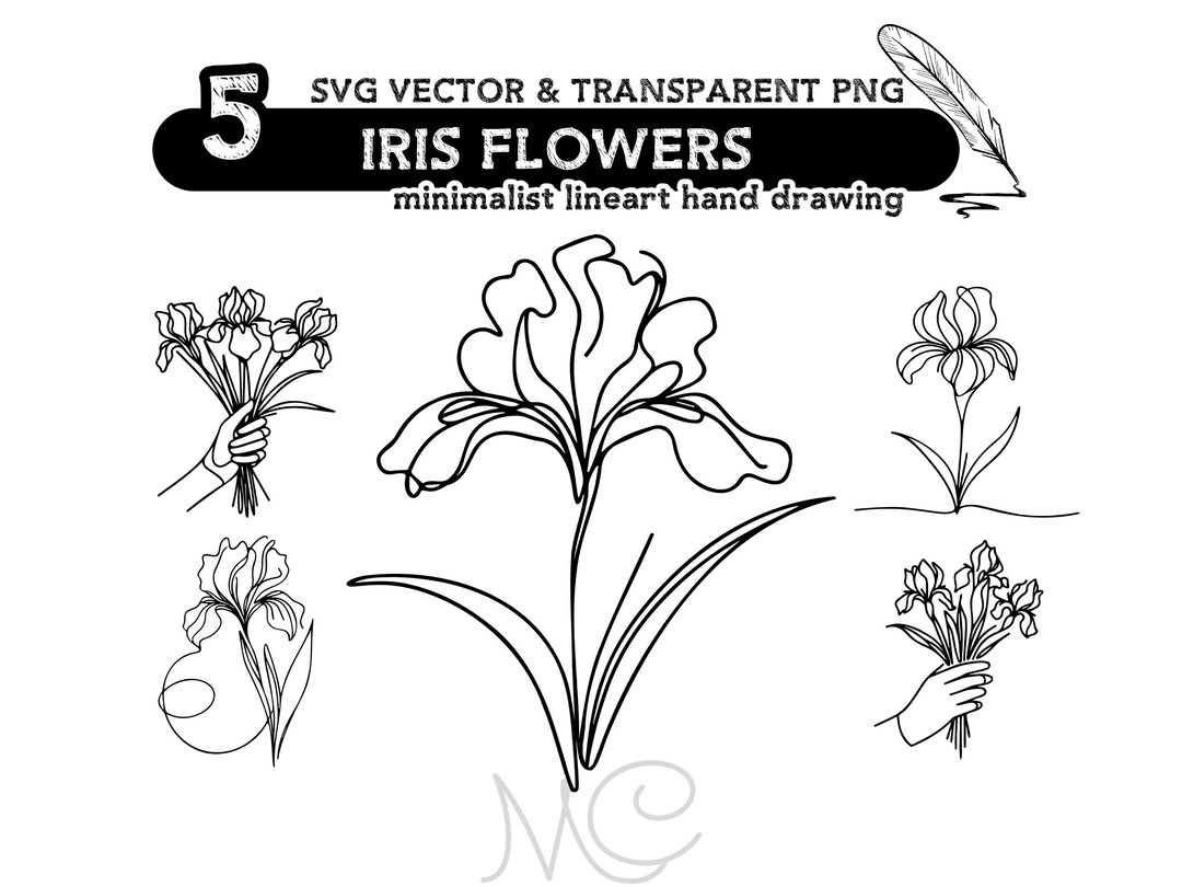 Iris Flowers Line Art Bundle – Minimalist Flower Drawings, Iris Bouquet ...
