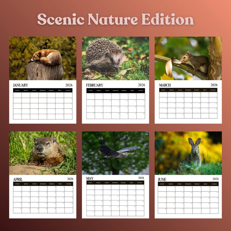 2026 Woodland Animals Printable Calendar – Cute Forest Wildlife Monthly ...