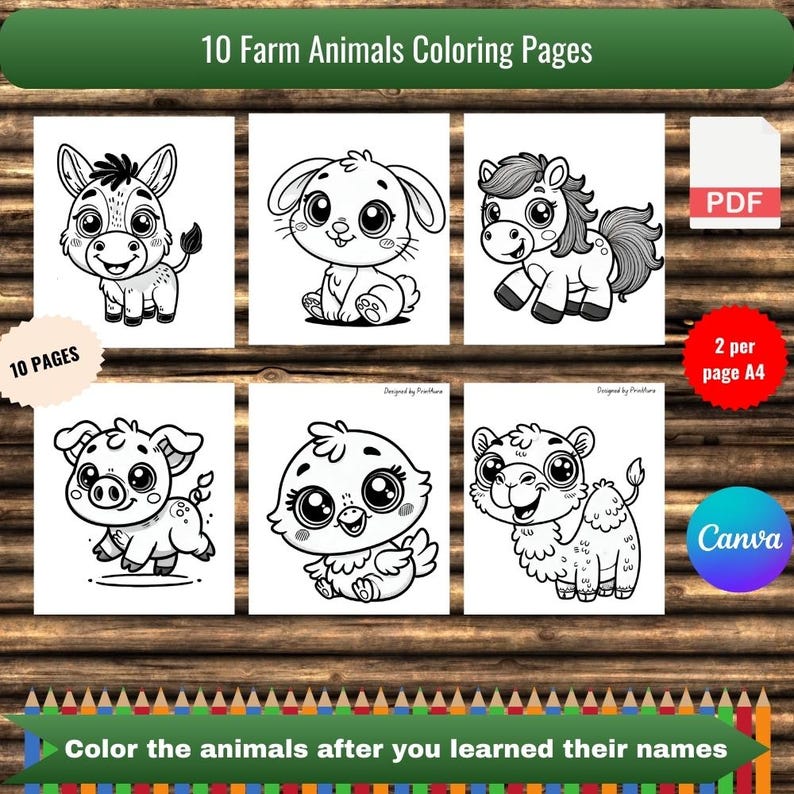 24 Bilingual Montessori Farm Animal Cards SPANISH-ENGLISH + 12 Quizzes ...