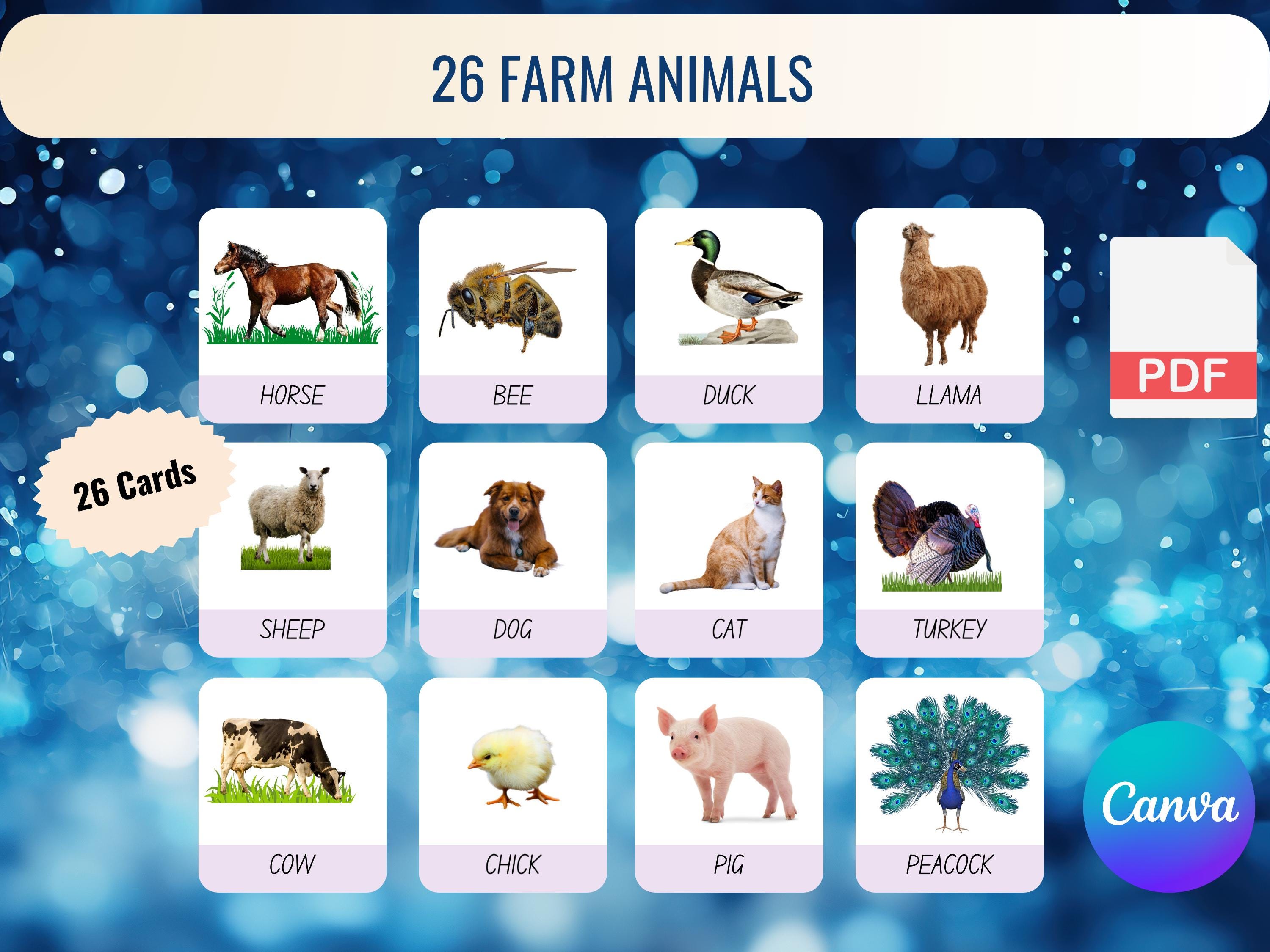Printable and Editable Montessori Farm Animal Flashcards | 26 ...