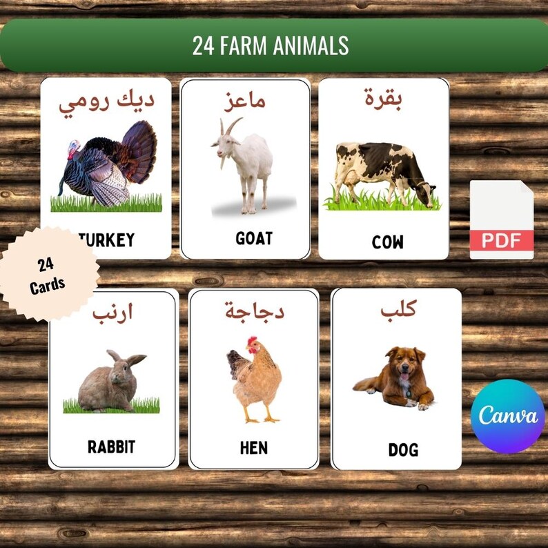 24 Bilingual Montessori Farm Animal Cards ARABIC-ENGLISH + 12 Quiz ...