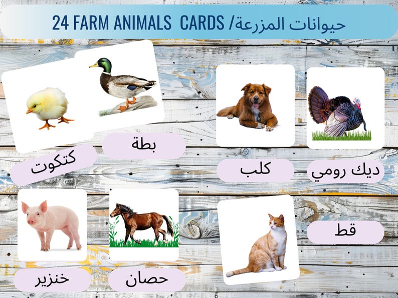 FARM ANIMALS ARABIC | Montessori 3-part Cards + 10 Coloring Pages in ...