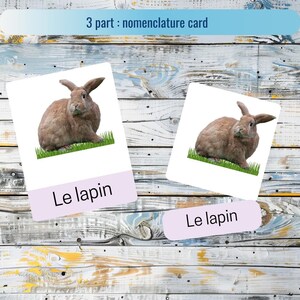 FARM ANIMALS FRENCH Version | 24 Montessori 3-part Cards + 9 Coloring ...
