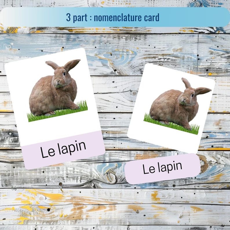 FARM ANIMALS FRENCH Version | 24 Montessori 3-part Cards + 9 Coloring ...
