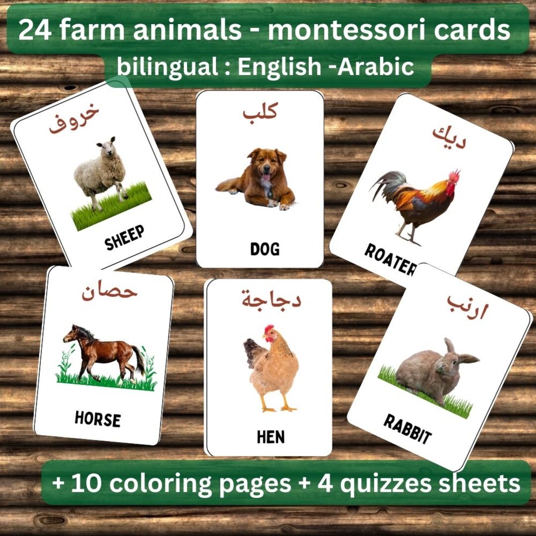 24 Bilingual Montessori Farm Animal Cards ARABIC-ENGLISH + 12 Quiz ...