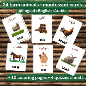 24 Bilingual Montessori Farm Animal Cards ARABIC-ENGLISH + 12 Quiz ...